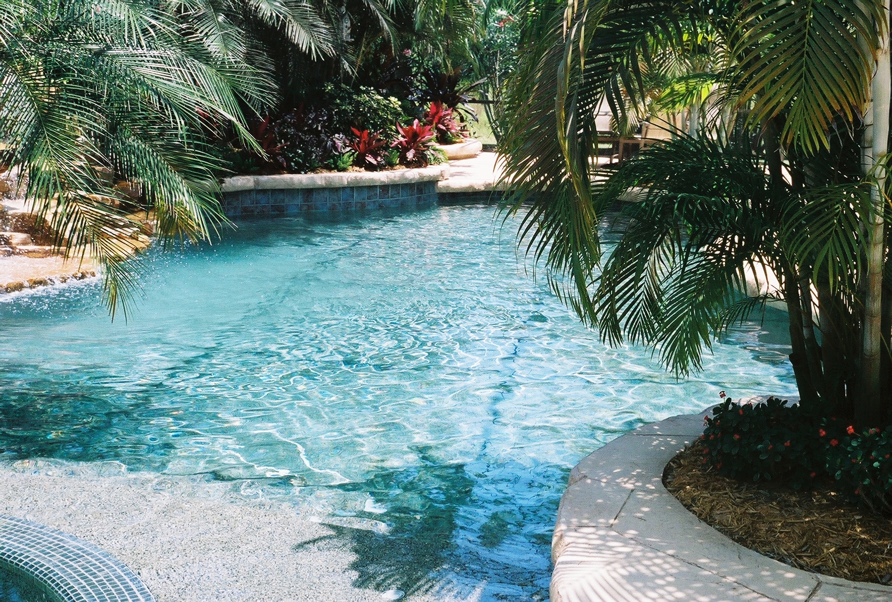 Home | Tropical Pools